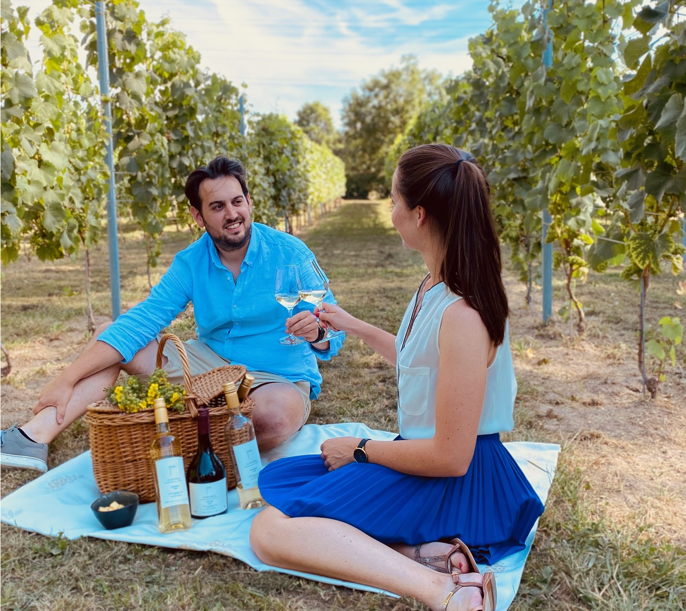 Het verhaal van Wijndomein Gellick